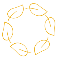 About – Grove Circular